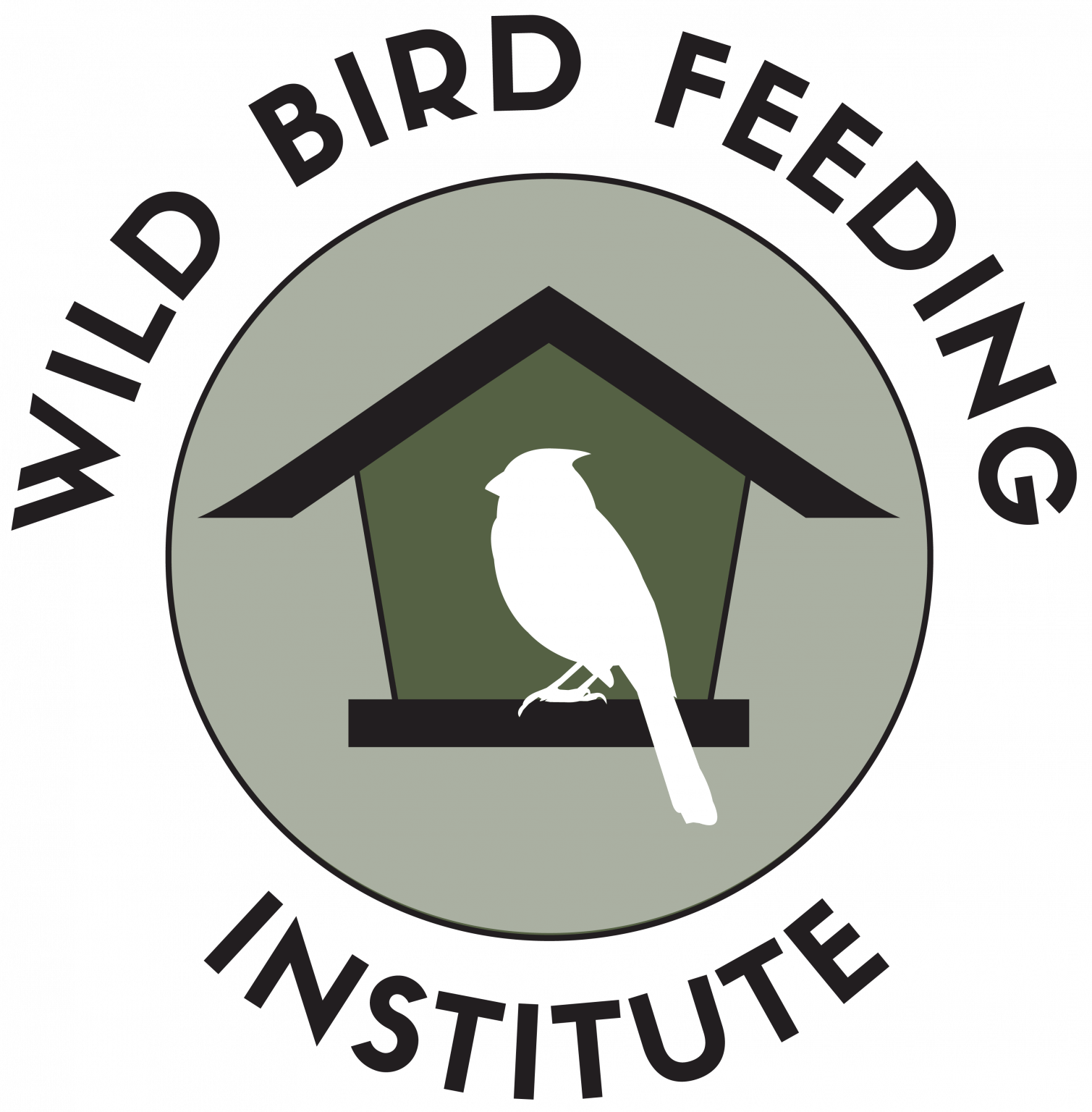 The Soothing Melody of Birds: Exploring the Mental Health Benefits of ...