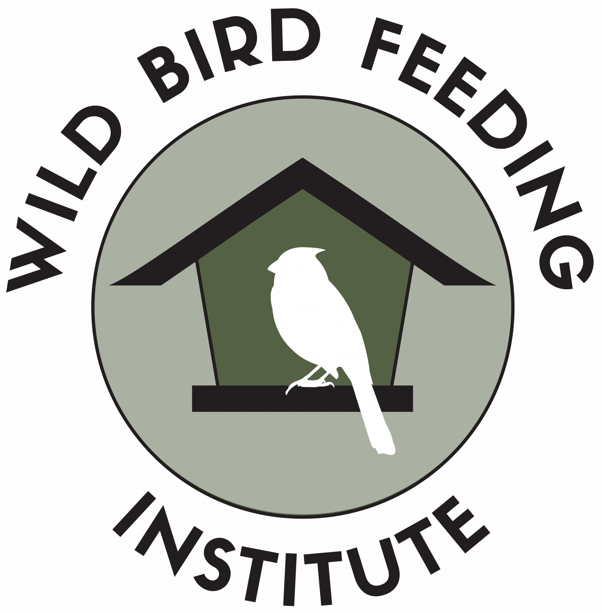 The Soothing Melody of Birds: Exploring the Mental Health Benefits of ...