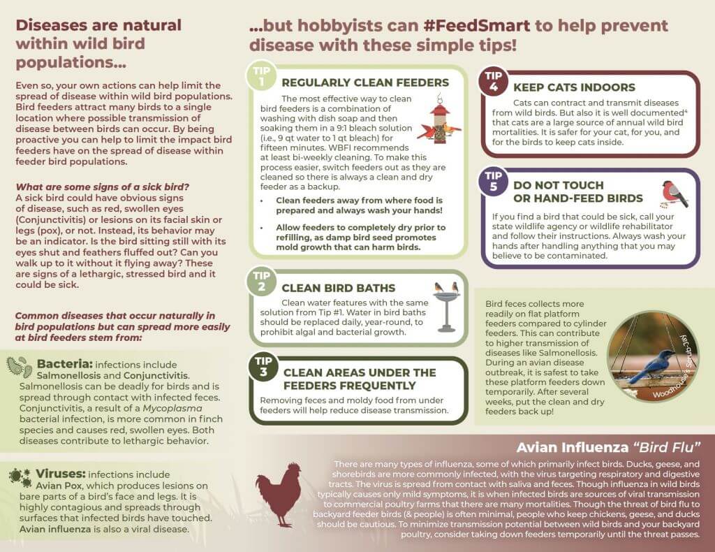 #FEEDSMART RESOURCES - Wild Bird Feeding Institute