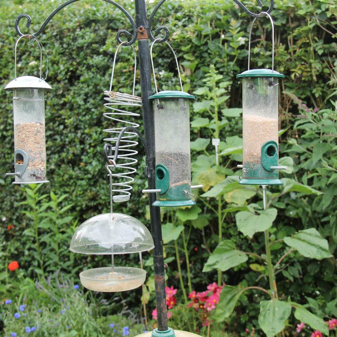 Quality Standards Program - Wild Bird Feeding Institute