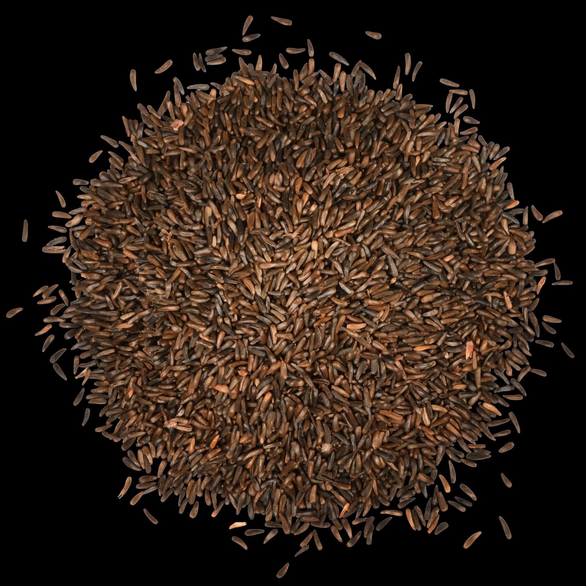 Nyjer® Seed FAQ - Wild Bird Feeding Institute