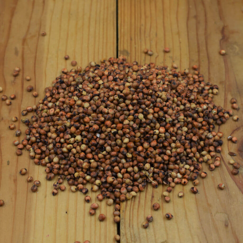 All About Wild Bird Food: Milo Seed - Wild Bird Feeding Institute