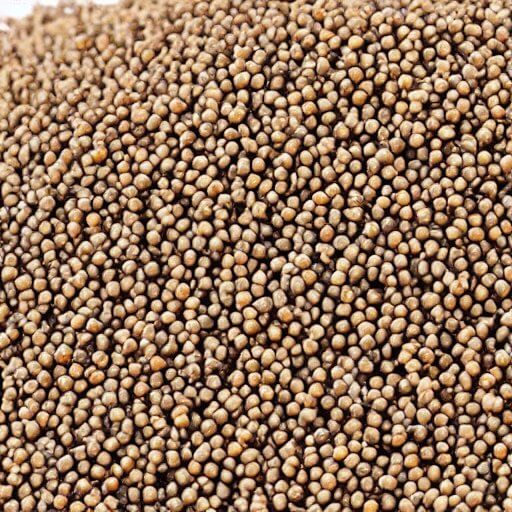 All About Wild Bird Food: Milo Seed - Wild Bird Feeding Institute