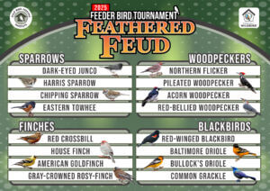 Home - Wild Bird Feeding Institute