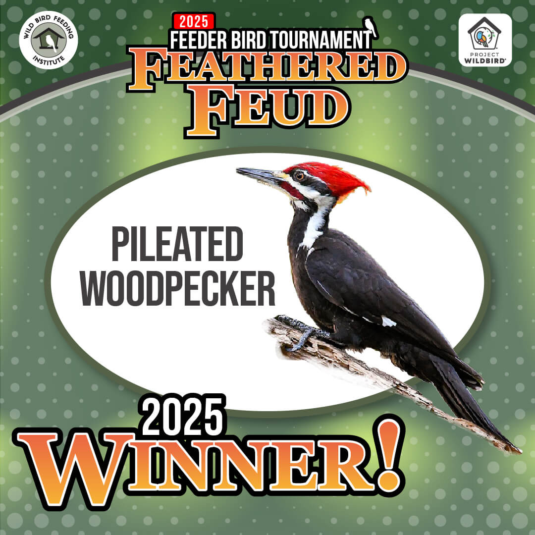Home - Wild Bird Feeding Institute