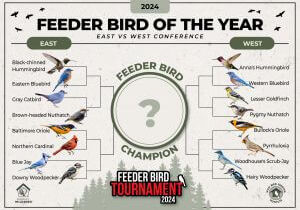 Join WBFI - Wild Bird Feeding Institute